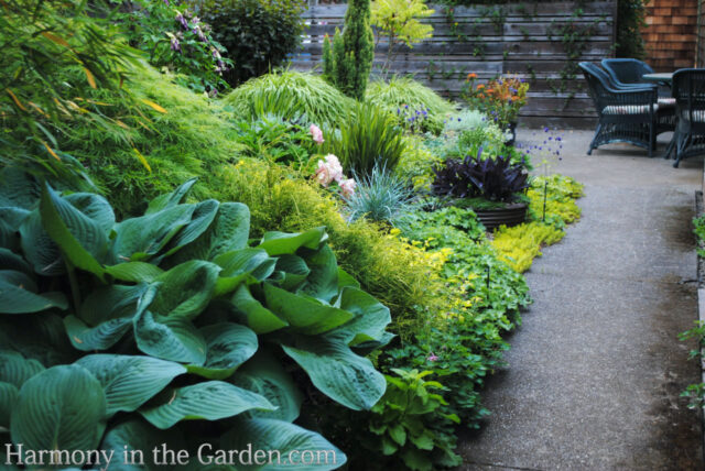 Freeland and Sabrina Tanner's Garden - Harmony in the Garden
