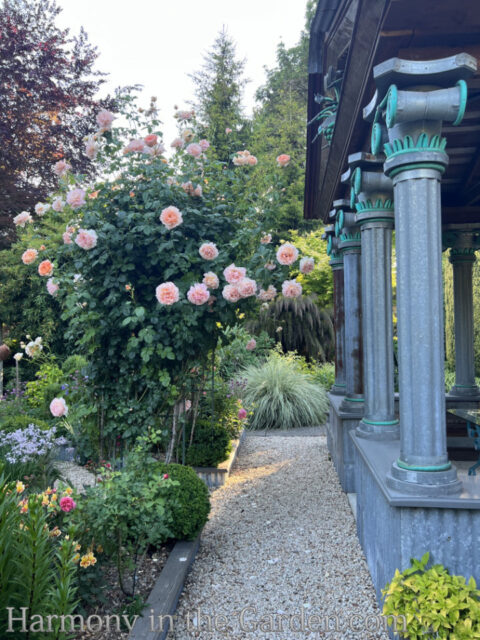 Freeland and Sabrina Tanner's Garden - Harmony in the Garden