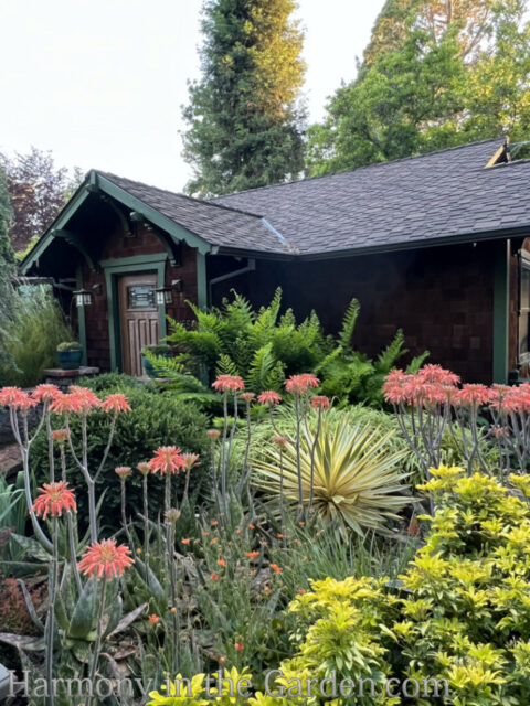 Freeland and Sabrina Tanner's Garden - Harmony in the Garden