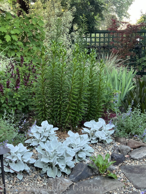 Freeland and Sabrina Tanner's Garden - Harmony in the Garden