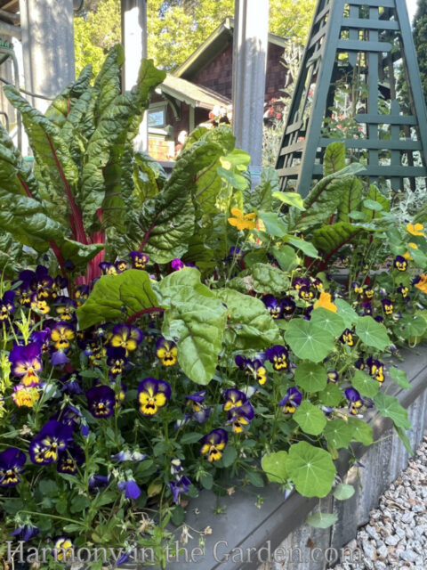 Freeland and Sabrina Tanner's Garden - Harmony in the Garden