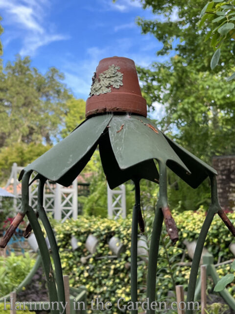 Freeland and Sabrina Tanner's Garden - Harmony in the Garden