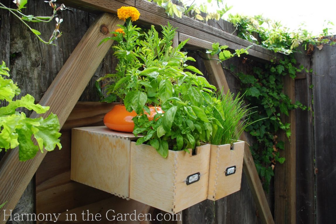 Repurposing trash into treasures for the garden - Harmony in the Garden