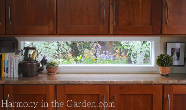 Think vertically when designing side yards - Harmony in the Garden