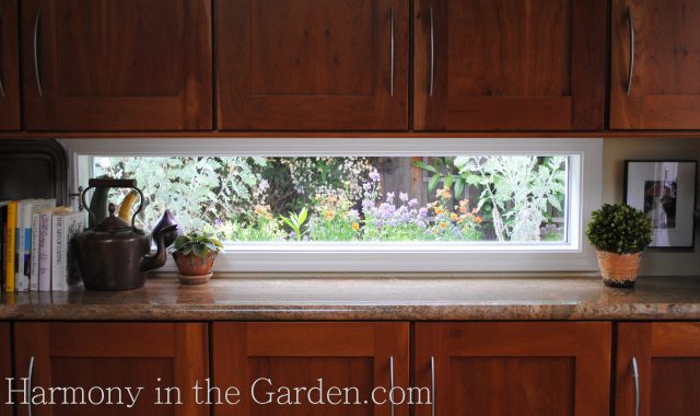 One Window Box for Four Seasons - Harmony in the Garden