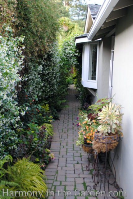 Transforming a side yard from Blah to Beautiful - Harmony in the Garden