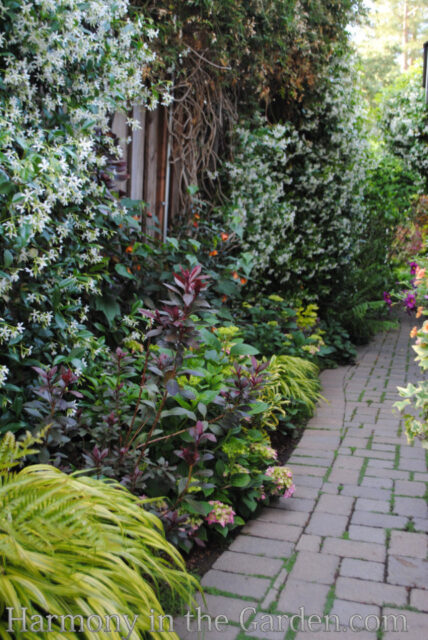 Transforming a side yard from Blah to Beautiful - Harmony in the Garden