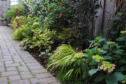 Transforming a side yard from Blah to Beautiful - Harmony in the Garden