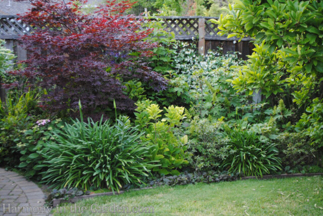 Transforming a side yard from Blah to Beautiful - Harmony in the Garden