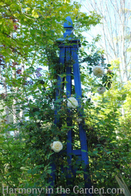 The art and soul of Freeland Tanner - Harmony in the Garden