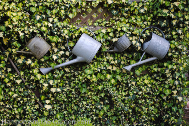 The art and soul of Freeland Tanner - Harmony in the Garden