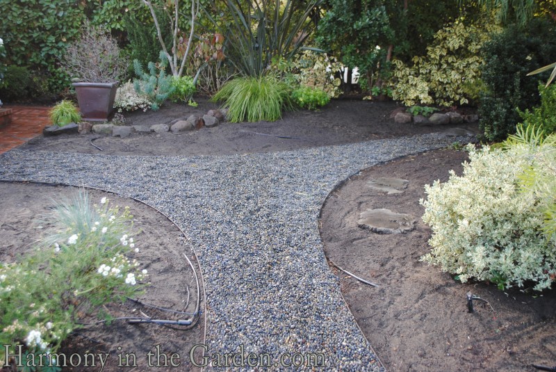 Replacing a lawn with a garden - Part 3 - Harmony in the Garden