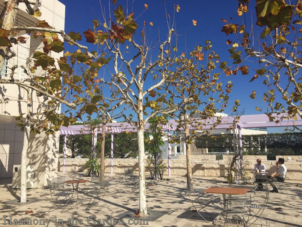 The Getty Museum's Central Garden - Harmony in the Garden