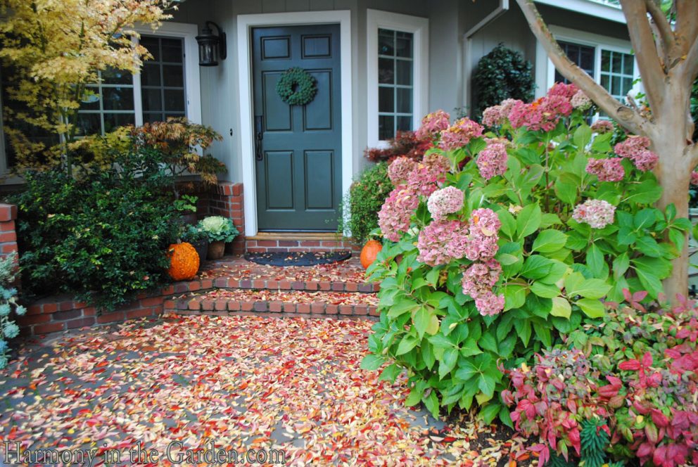 Saying goodbye to my garden - Harmony in the Garden