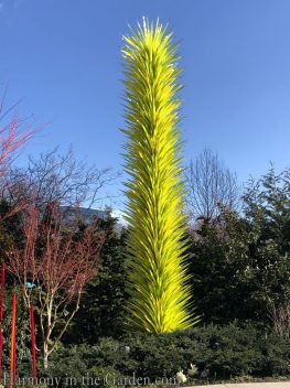 Chihuly Garden and Glass in Winter - Harmony in the Garden
