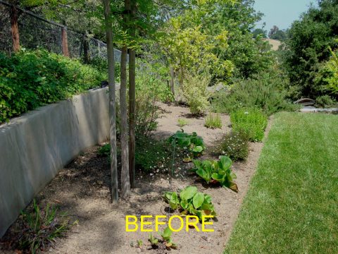Gardening on Steep Slopes - Harmony in the Garden