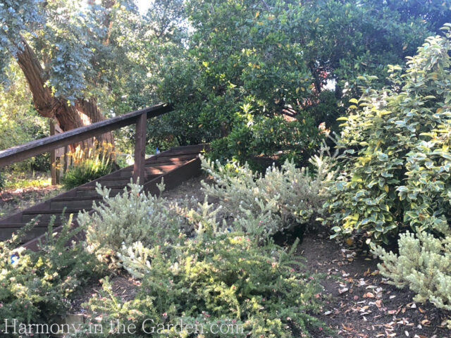 Gardening on Steep Slopes - Harmony in the Garden