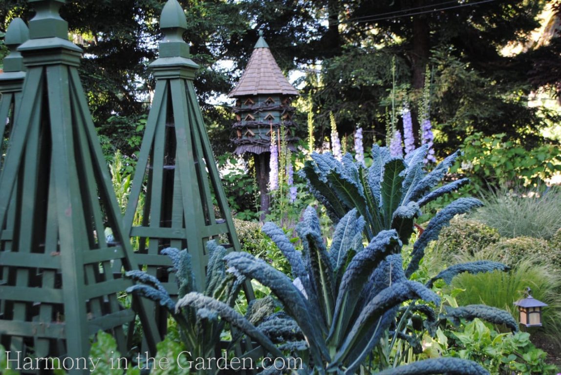 Glaucous & Purple – a color combo that adds some ‘oomph’ to your garden ...