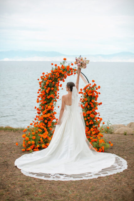 Top 15 Favorite Orange Flowers - Harmony in the Garden