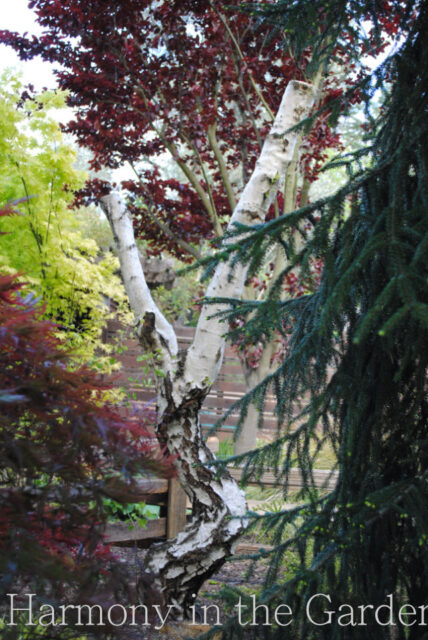 Garden Inspiration Using Dead Trees & Branches - Harmony in the Garden