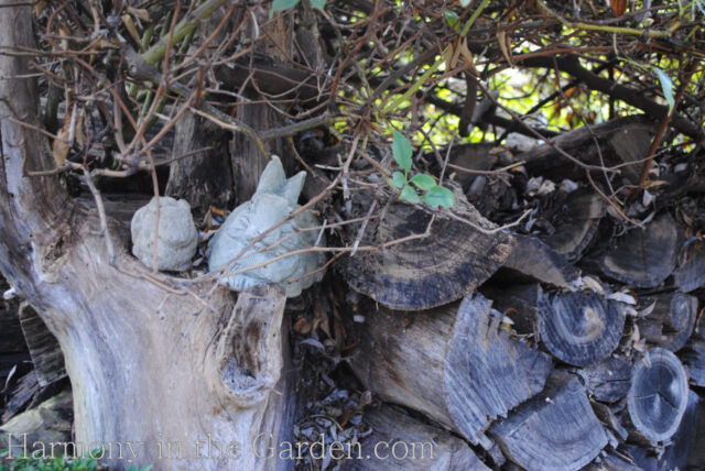 Garden Inspiration Using Dead Trees & Branches - Harmony in the Garden