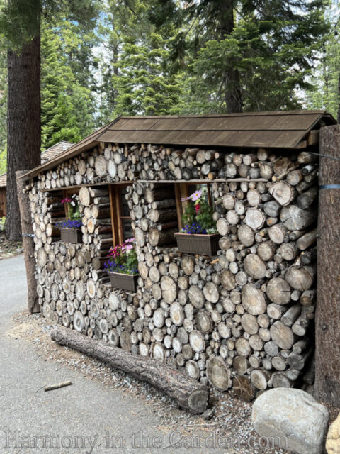 Garden Inspiration Using Dead Trees & Branches - Harmony in the Garden