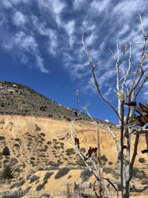 Garden Inspiration Using Dead Trees & Branches - Harmony in the Garden