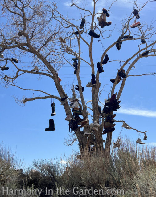 Garden Inspiration Using Dead Trees & Branches - Harmony in the Garden