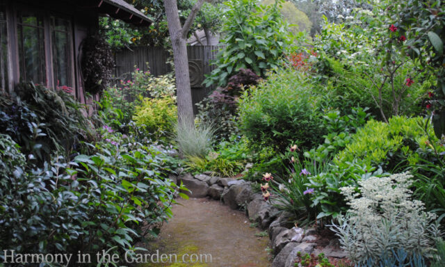 Adding Height with Flowering, Towering Plants - Harmony in the Garden