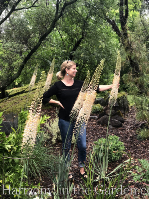 Adding Height with Flowering, Towering Plants - Harmony in the Garden