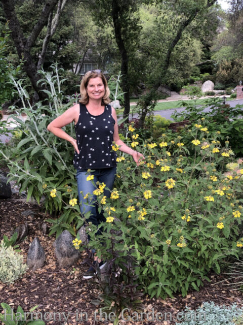 Adding Height with Flowering, Towering Plants - Harmony in the Garden