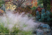 Designing with Ornamental Grasses - Harmony in the Garden