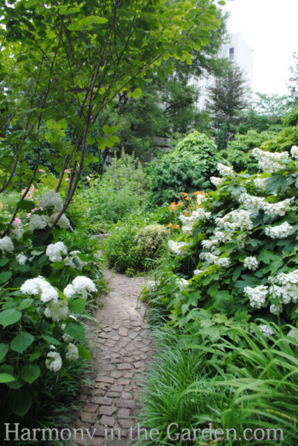 How To Use White In The Garden - Harmony in the Garden