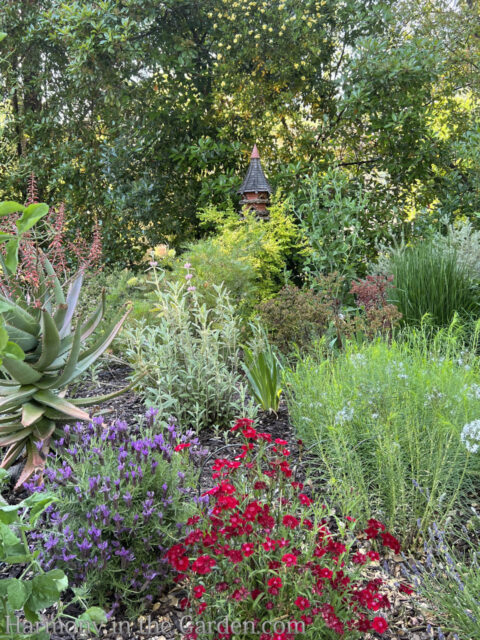 Designing a Barren Berm - Harmony in the Garden