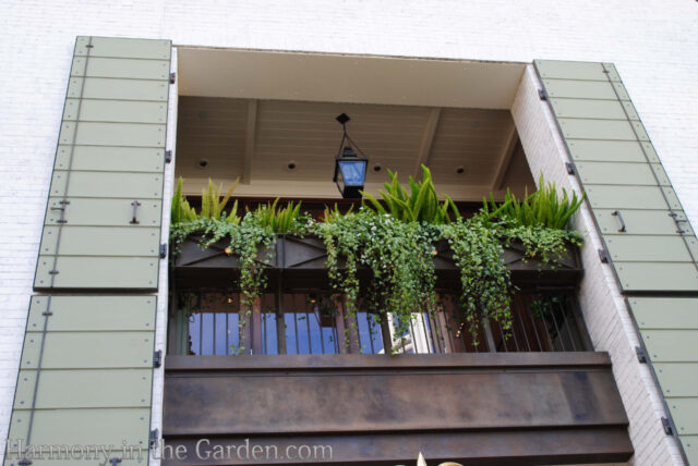 One Window Box for Four Seasons - Harmony in the Garden