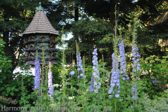 The art and soul of Freeland Tanner - Harmony in the Garden