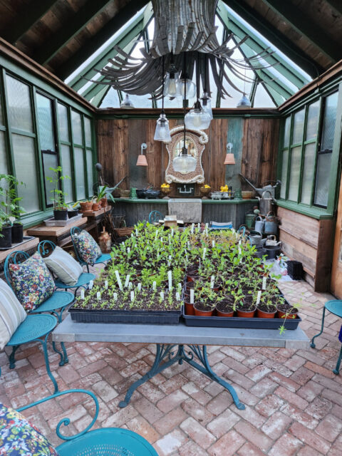 Freeland and Sabrina Tanner's Garden - Harmony in the Garden