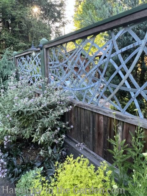 The art and soul of Freeland Tanner - Harmony in the Garden