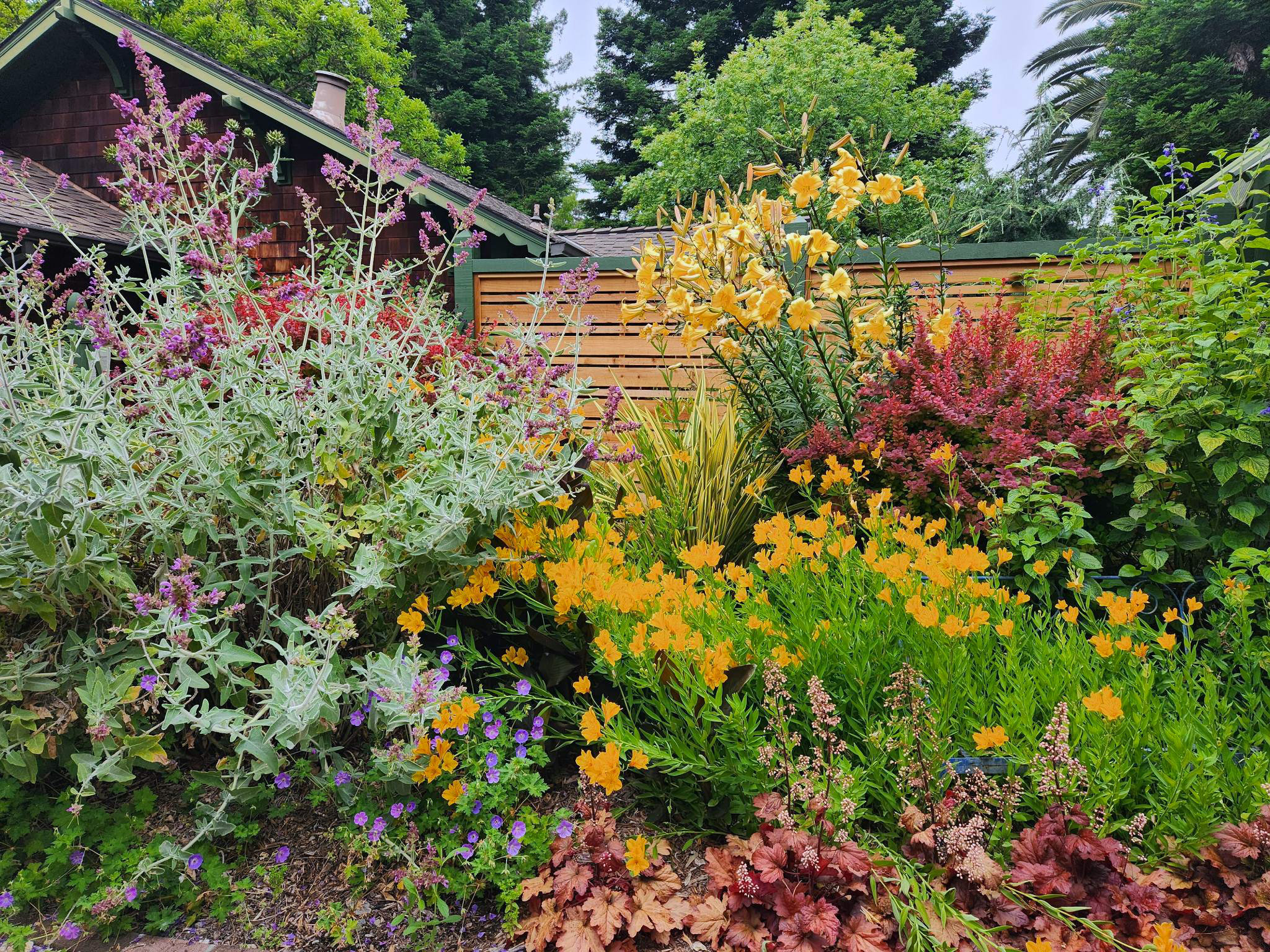 Freeland and Sabrina Tanner's Garden - Harmony in the Garden