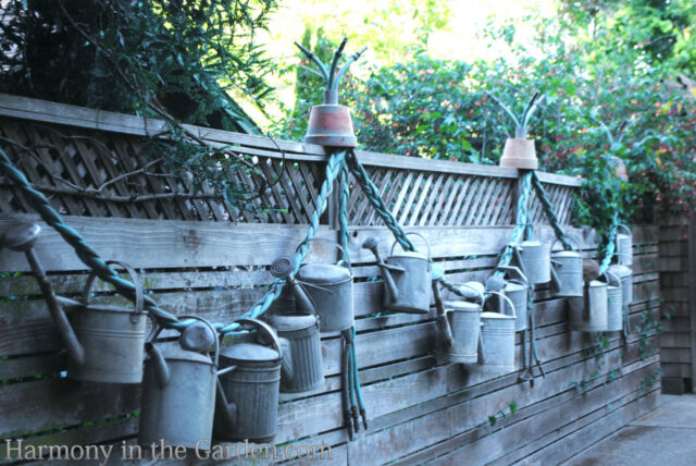 The art and soul of Freeland Tanner - Harmony in the Garden