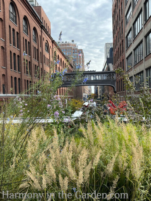 The High Line Garden in Autumn - Harmony in the Garden