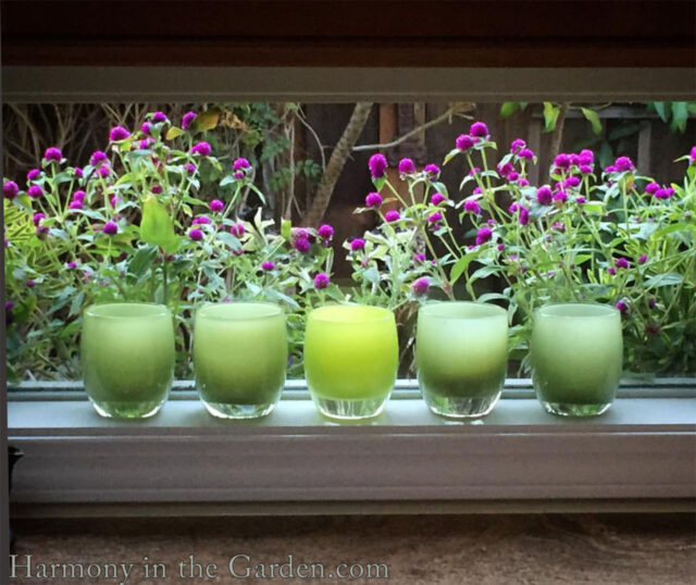 Designing with Ball-Shaped Flowers - Harmony in the Garden