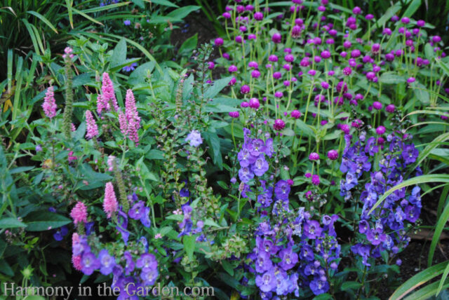 Designing with Ball-Shaped Flowers - Harmony in the Garden