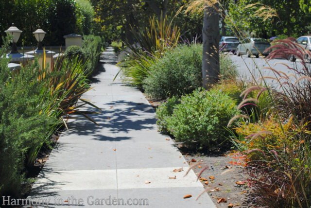 Designing a Hellstrip - Harmony in the Garden