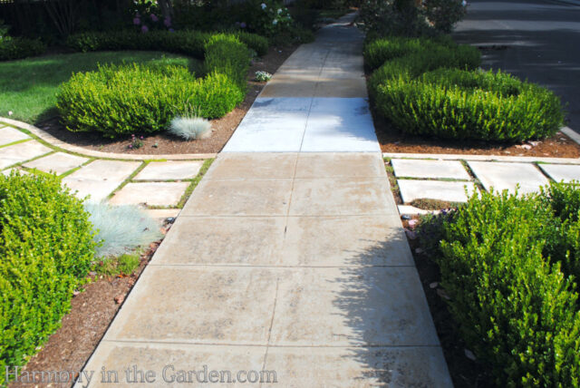 Designing a Hellstrip - Harmony in the Garden