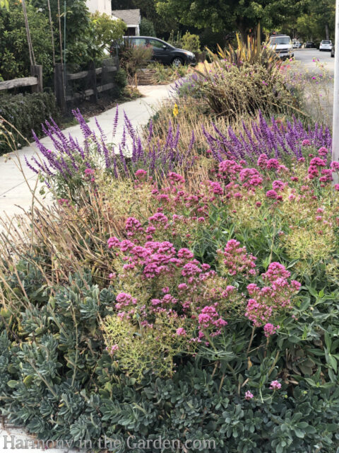 Designing a Hellstrip - Harmony in the Garden Designing a Hellstrip - Harmony in the Garden