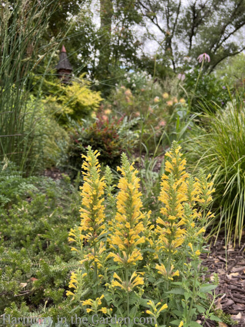 Designing a Modified Meadow - Harmony in the Garden