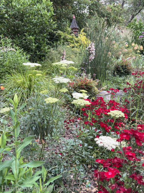 Designing a Modified Meadow - Harmony in the Garden