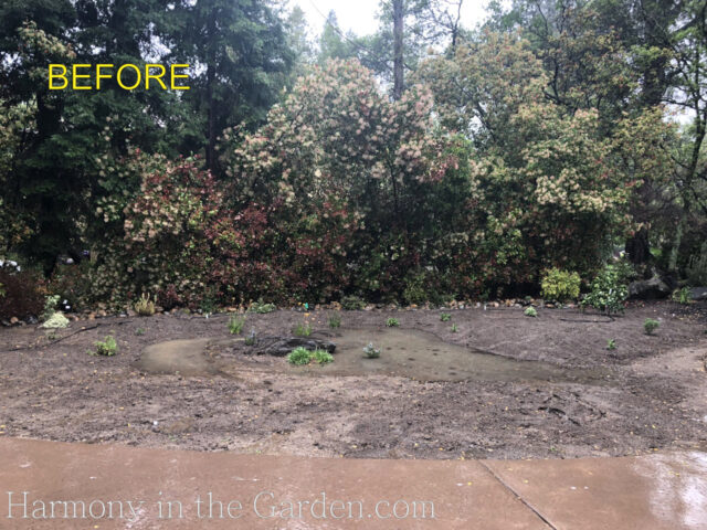 Designing a Modified Meadow - Harmony in the Garden