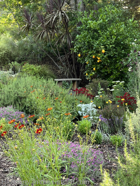 Designing a Modified Meadow - Harmony in the Garden